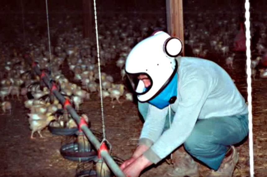 Kasco Respirator for Agriculture and Horticulture - The St. George ...